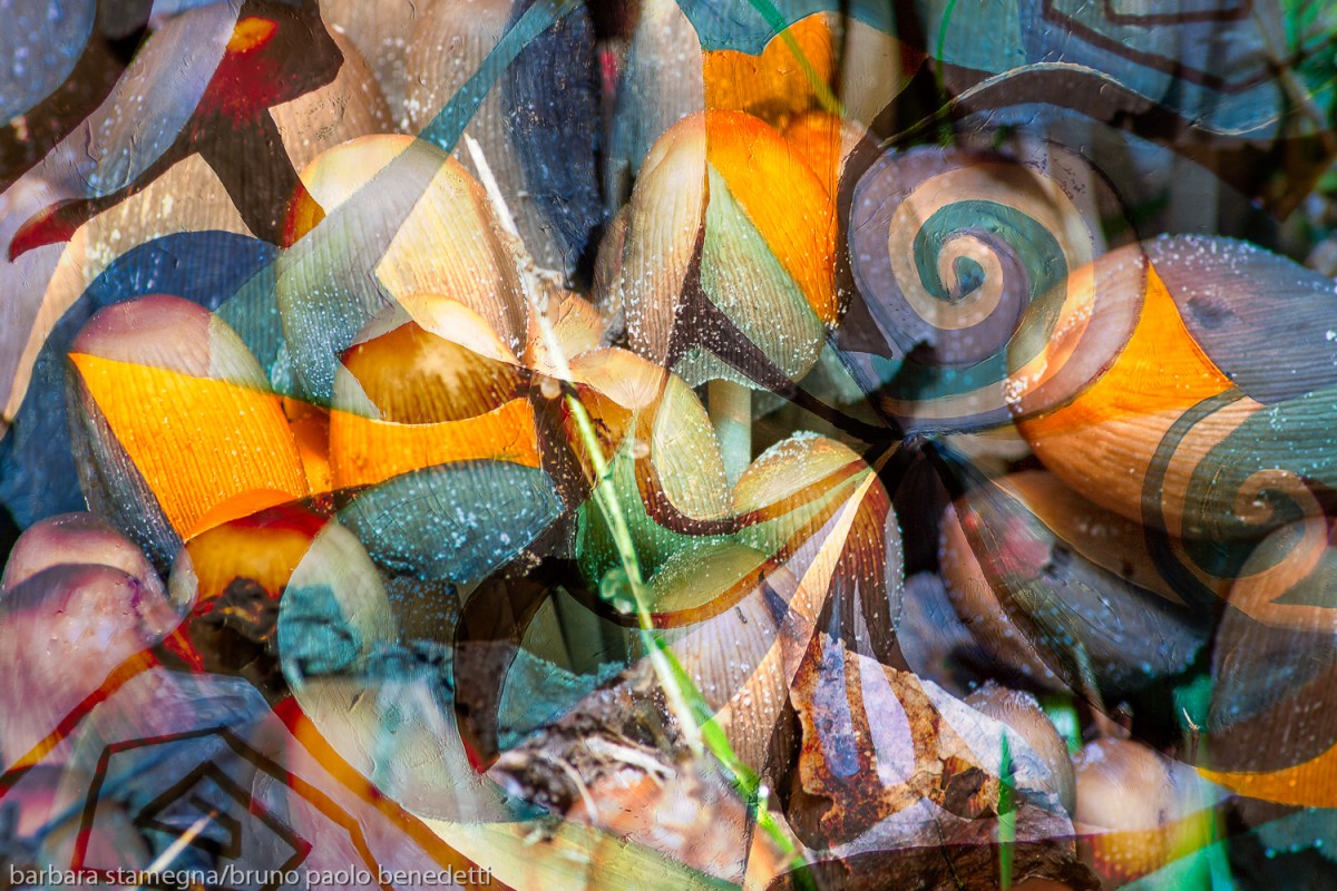 Soft Tones Abstract Shapes – Bruno Paolo Benedetti